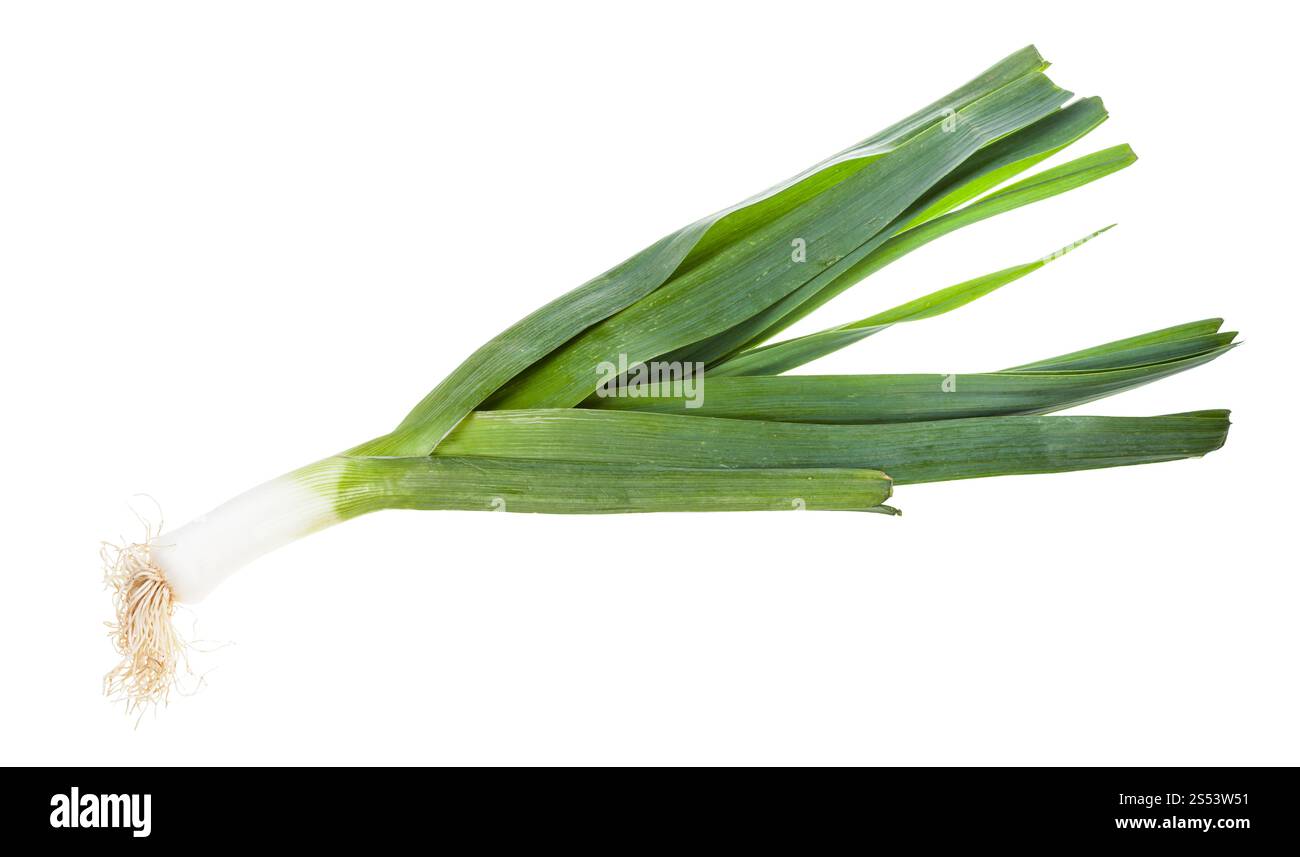 fresh green leek vegetabe isolated on white background Stock Photo - Alamy