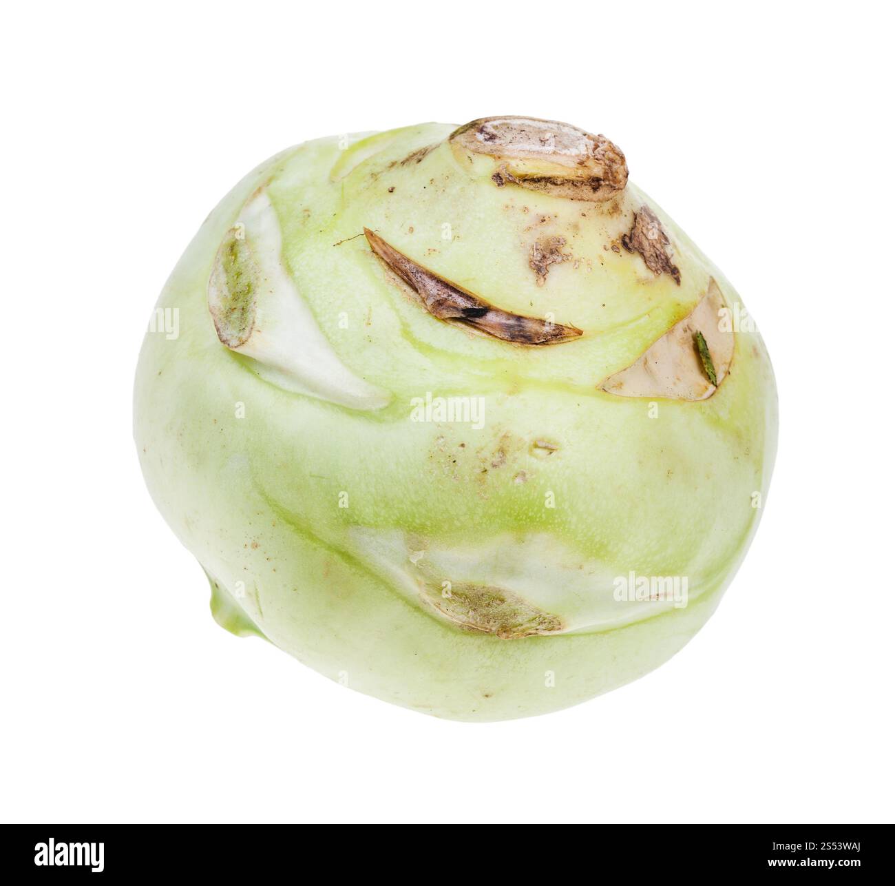 fresh ripe root of kohlrabi cabbage isolated on white background Stock ...