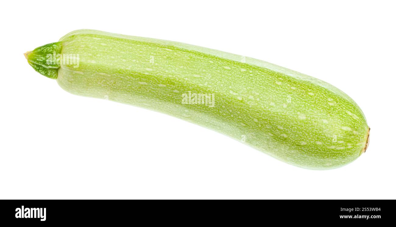 ripe fresh vegetable marrow squash isolated on white background Stock ...