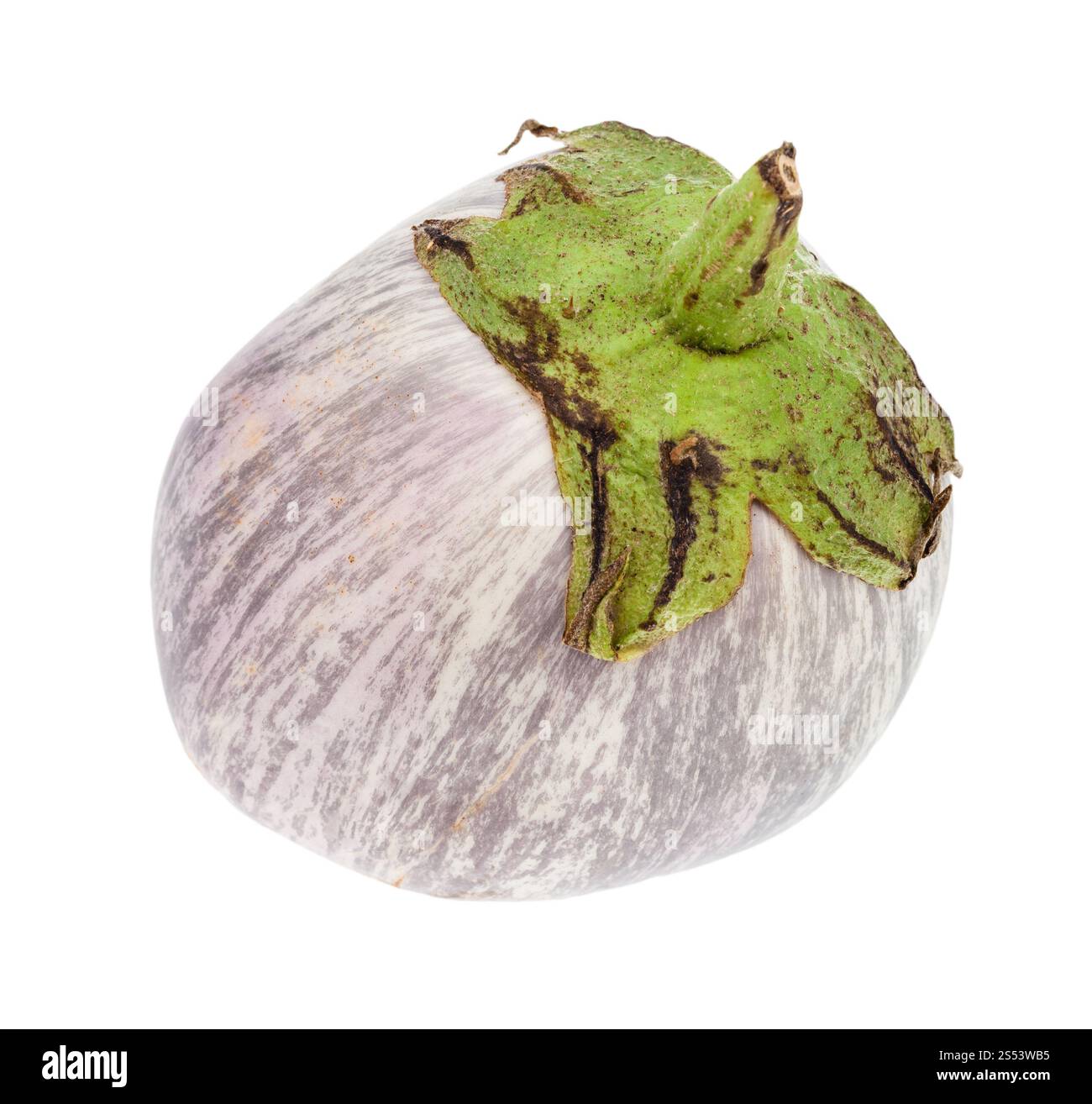 ripe round striped purple eggplant isolated on white background Stock ...