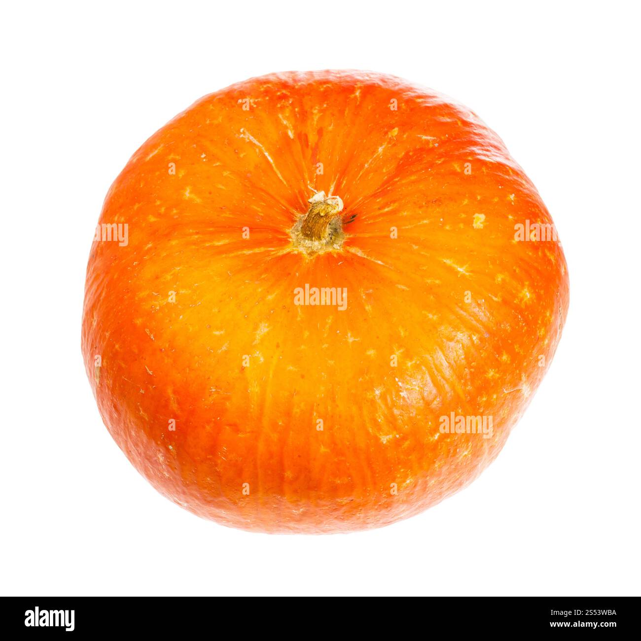 Head gourd Cut Out Stock Images & Pictures - Alamy