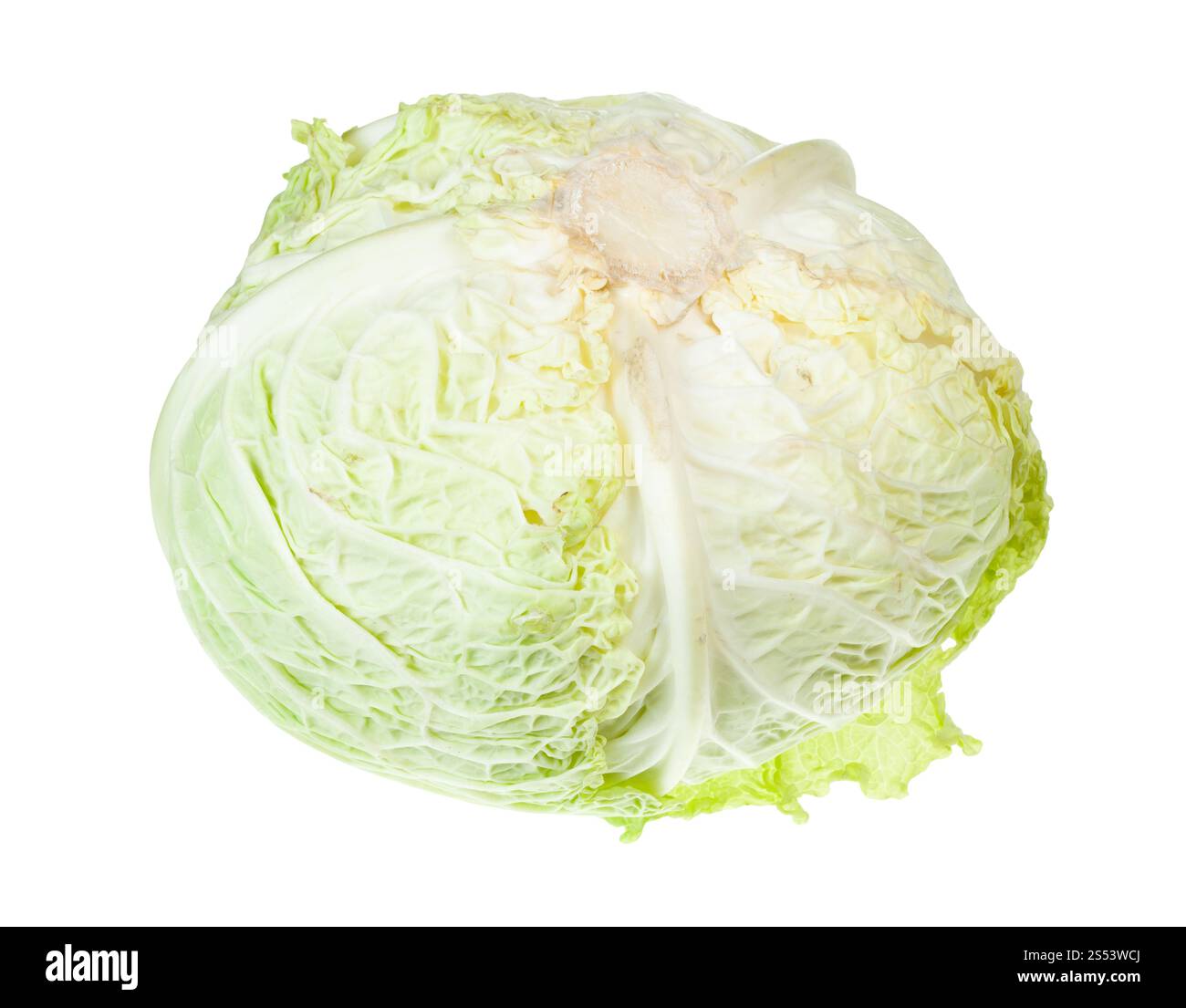 ripe cabbagehead of savoy cabbage isolated on white background Stock ...
