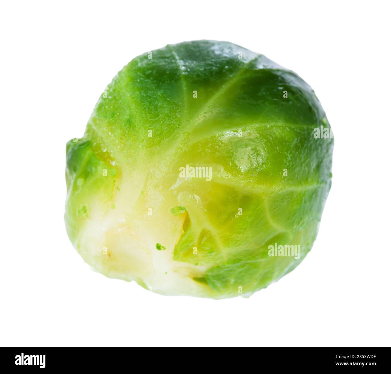 single wet ripe brussels sprout isolated on white background Stock ...