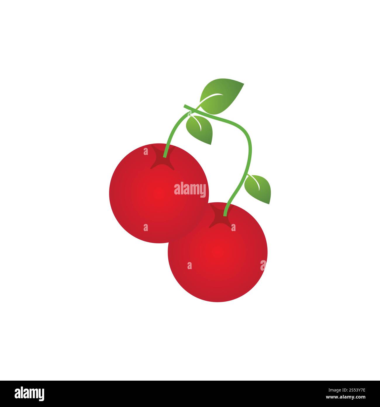 Cherry logo vector template Stock Photo - Alamy