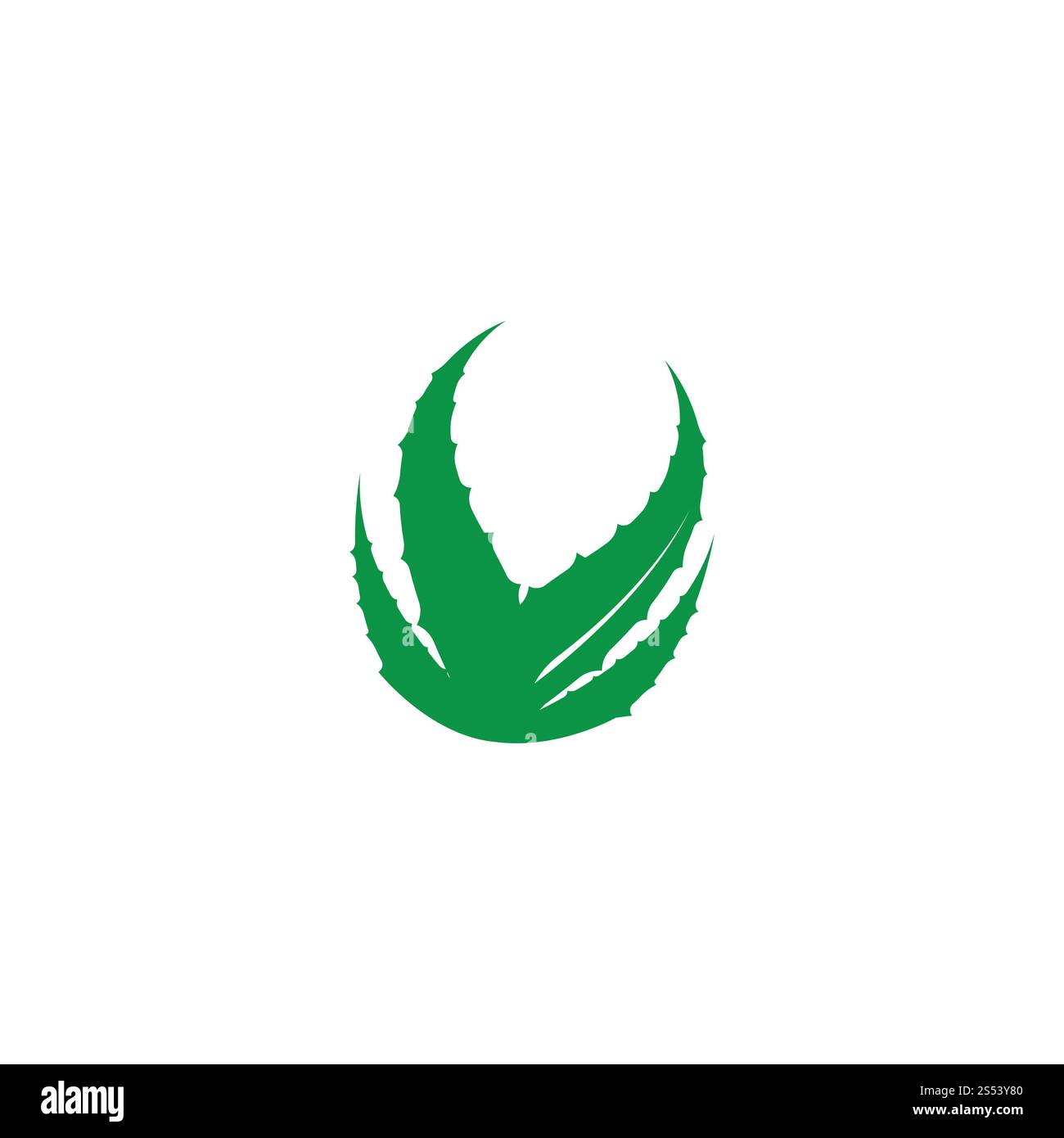 Aloe vera logo vector ilustration template Stock Photo - Alamy