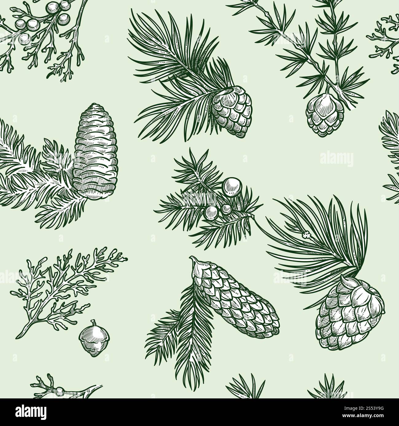 Pine branches of trees and cones seamless pattern isolated on white background vector. Evergreen ...