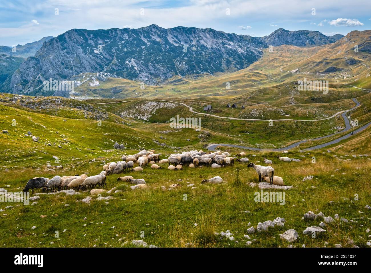 Picturesque summer mountain landscape of Durmitor National Park ...