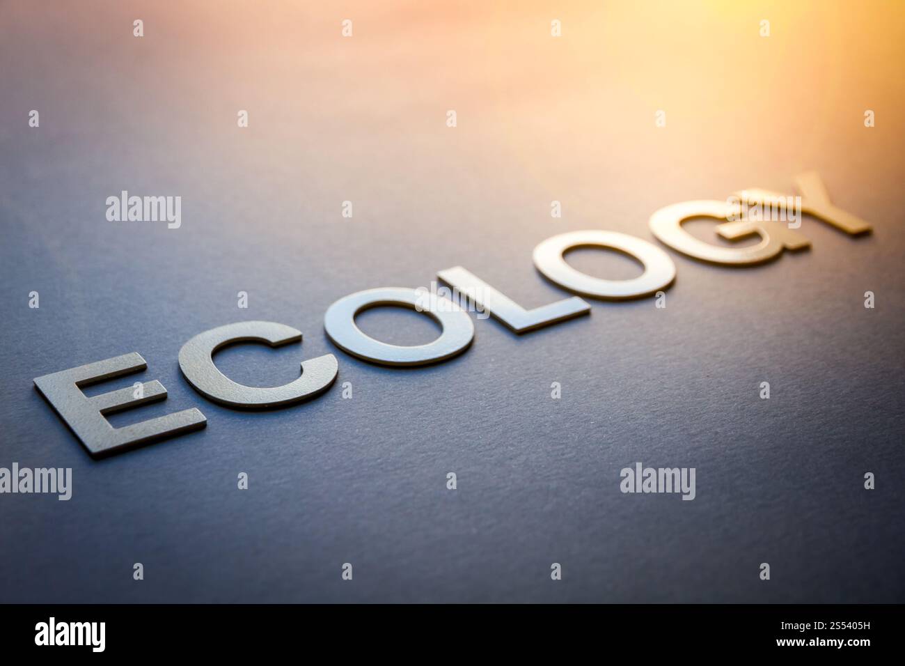Word ecology written with white solid letters on a board. Word ecology ...