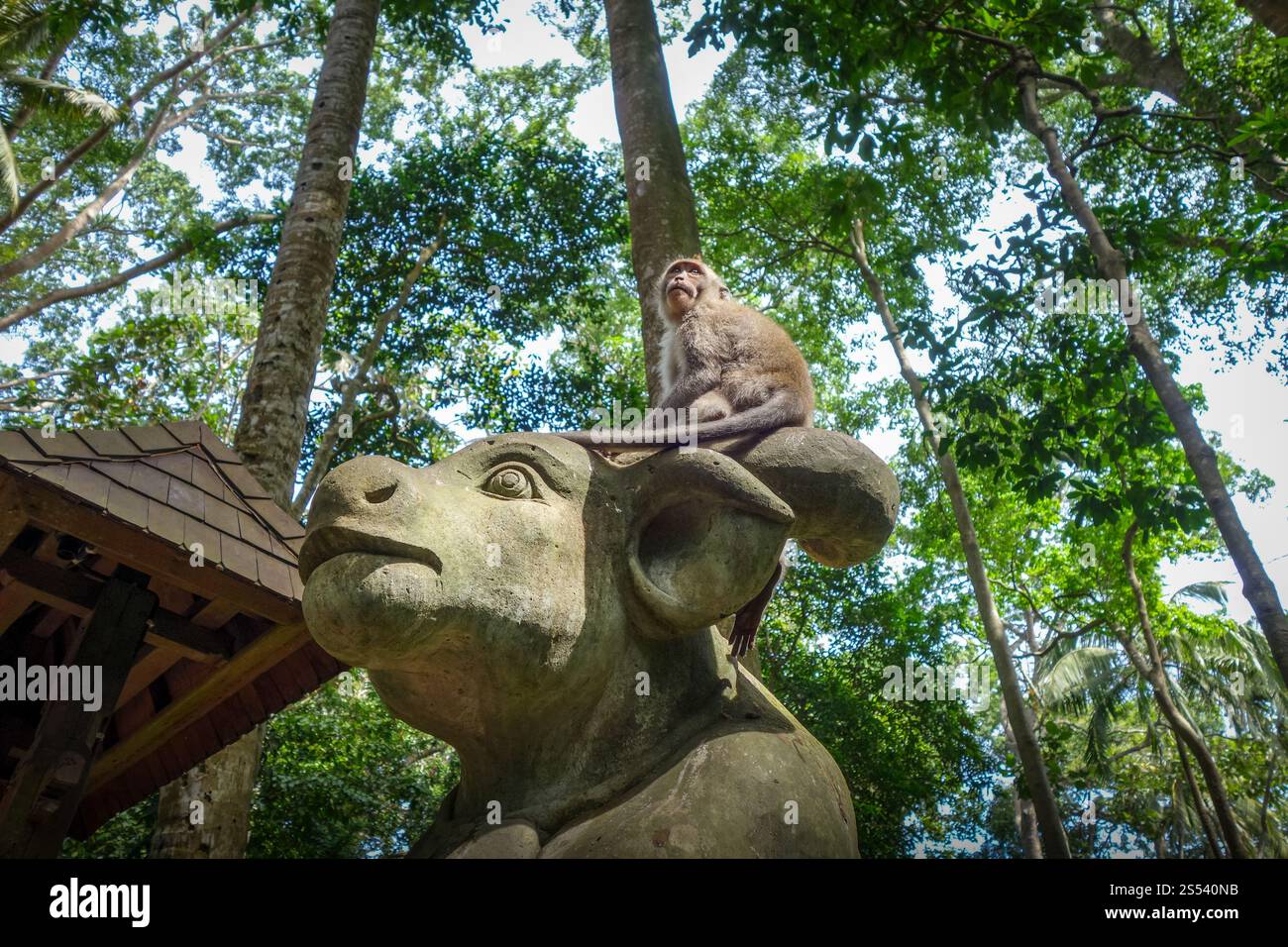 Monkey on a cow statue in the sacred Monkey Forest, Ubud, Bali ...