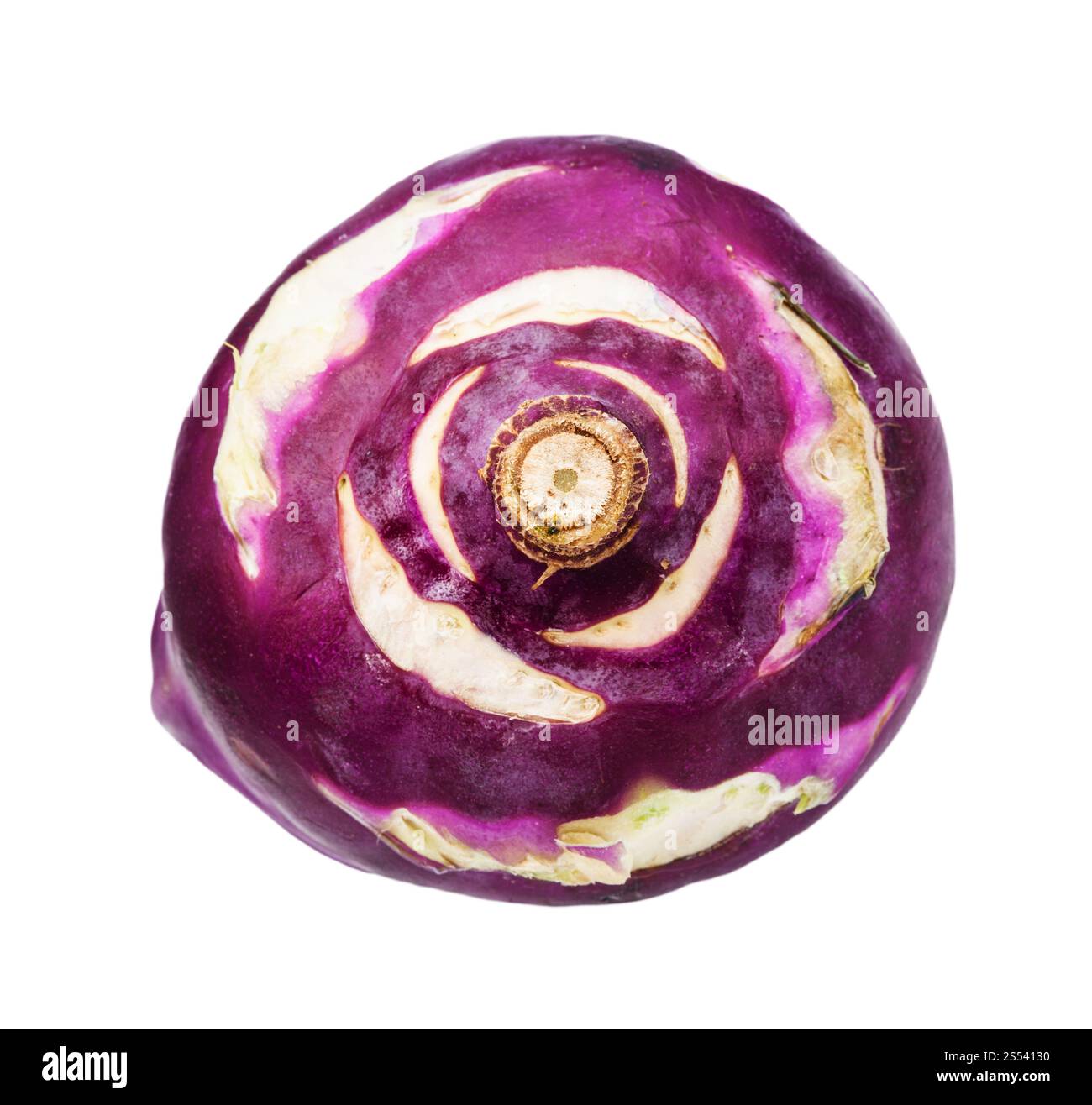 ripe taproot of purple kohlrabi cabbage isolated on white background ...