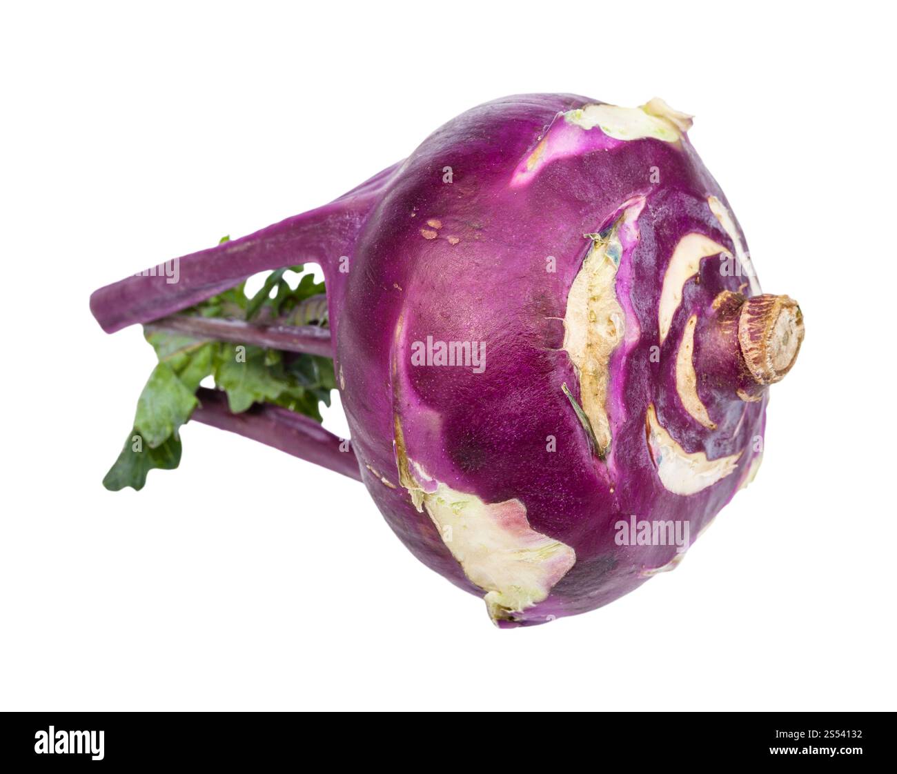 fresh bulb of purple kohlrabi cabbage isolated on white background ...