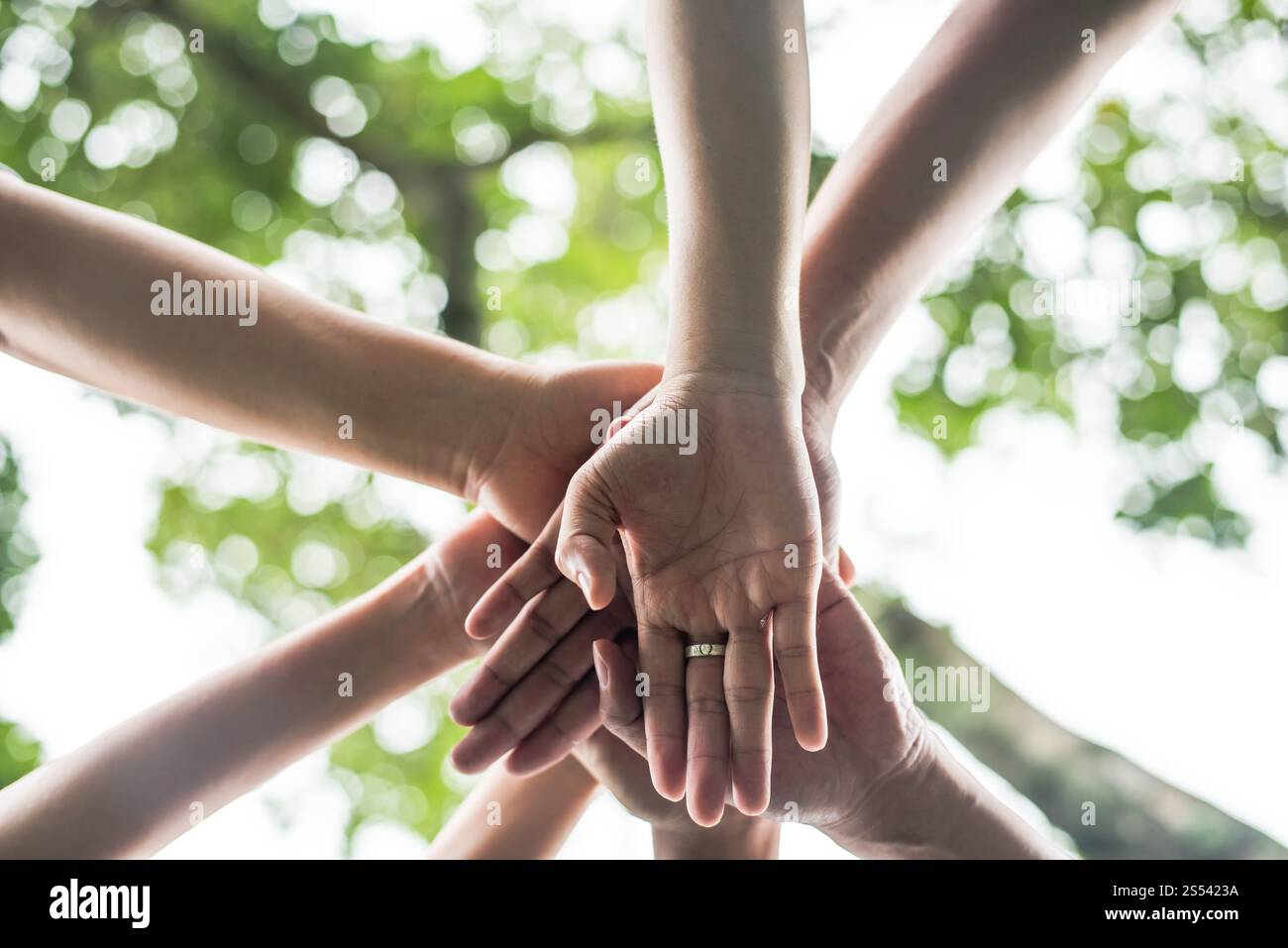 Close up team students teamwork stack hands together. Startup, Success ...