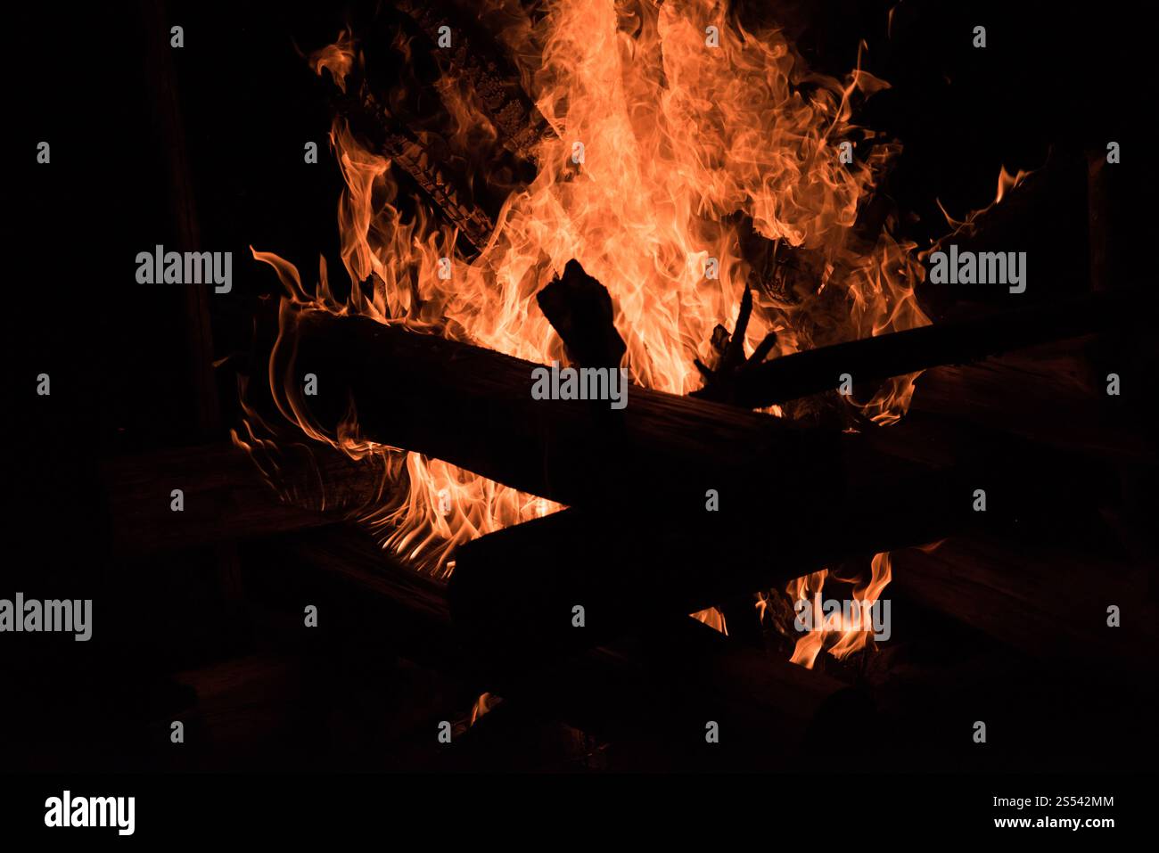 Camp fire in the night Stock Photo - Alamy