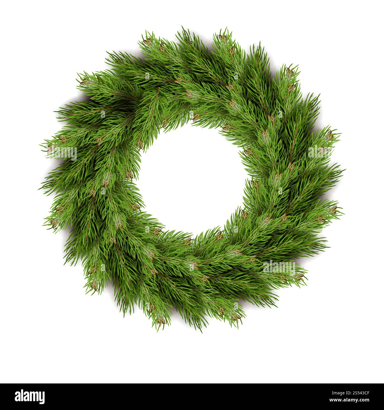 Fir pine tree spruce Cut Out Stock Images & Pictures - Alamy