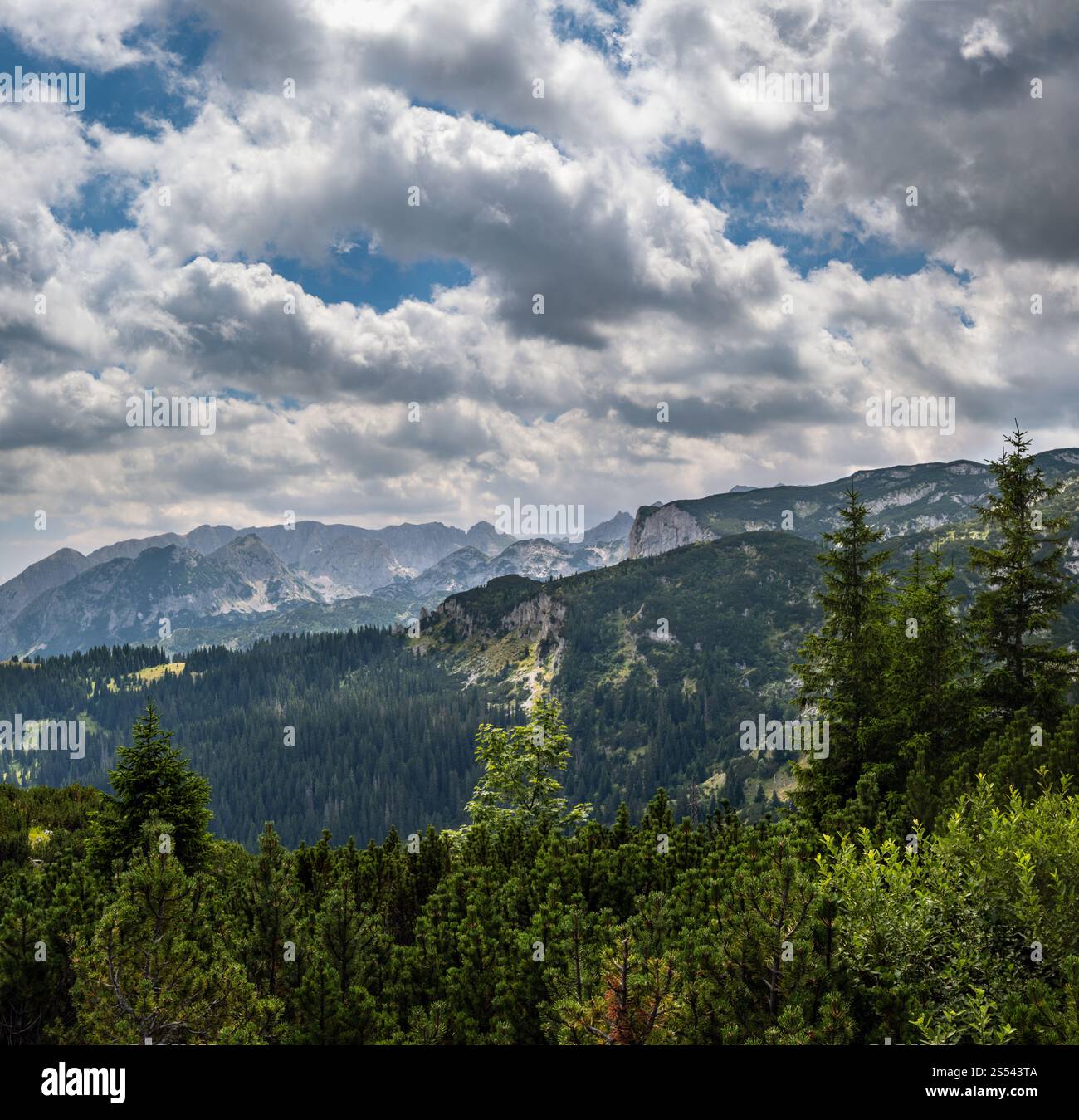 Picturesque summer mountain landscape of Tara Canyon in mountain ...