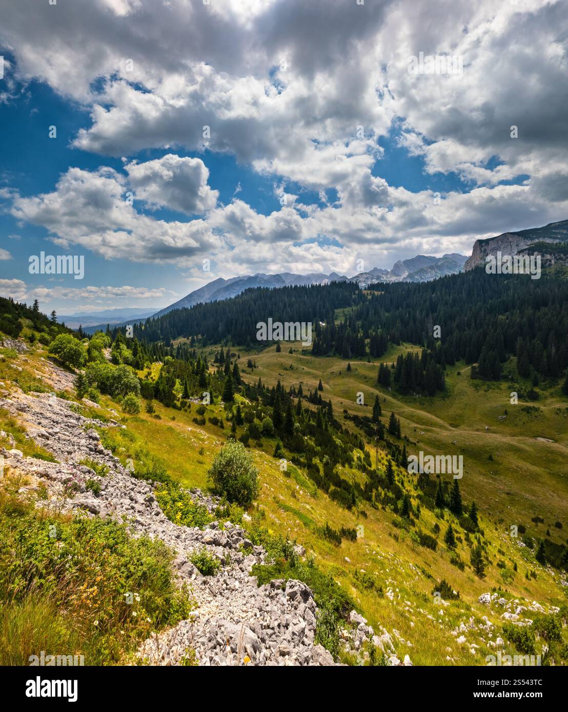 Picturesque summer mountain landscape of Durmitor National Park ...