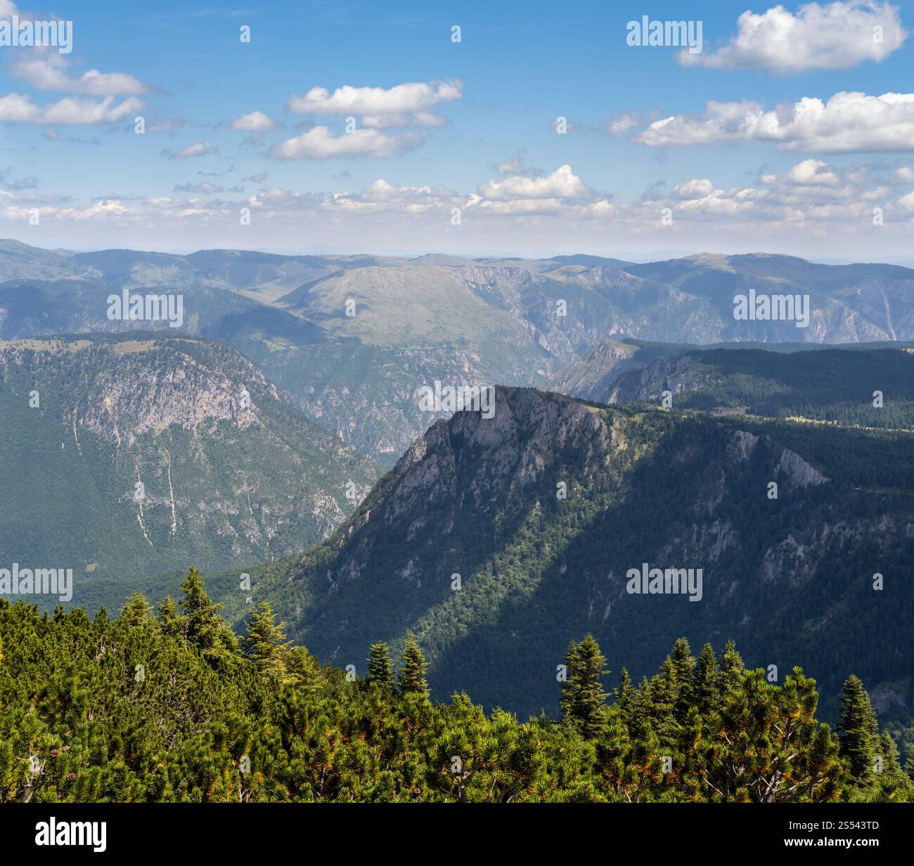 Picturesque summer mountain landscape of Tara Canyon in mountain ...