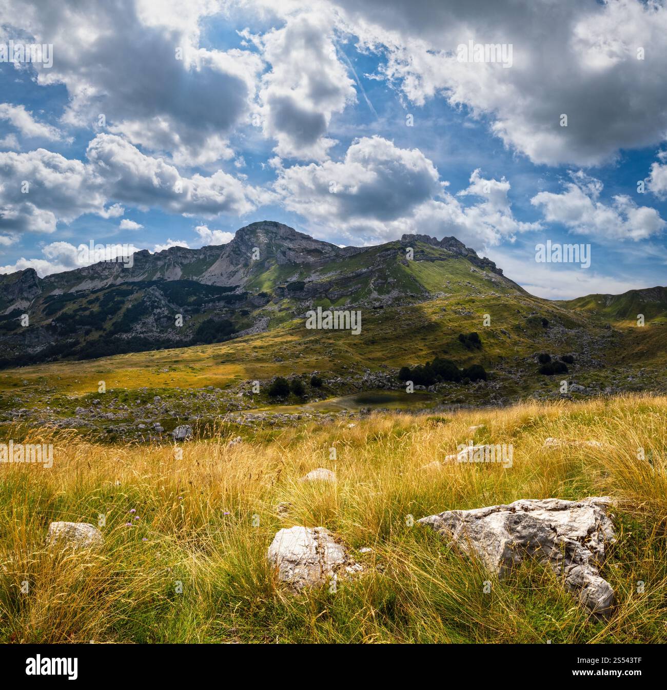 Picturesque summer mountain landscape of Durmitor National Park ...