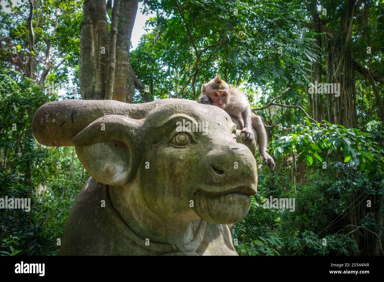 Monkey on a cow statue in the sacred Monkey Forest, Ubud, Bali ...