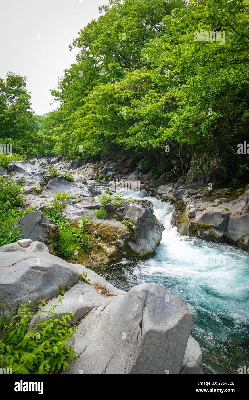 Kanmangafuchi abyss site on Daiyagawa river, Nikko, Japan ...