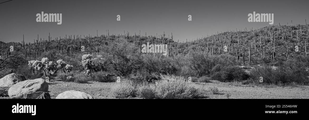 A stunning sepia-toned photograph of Tucson, Arizona, captures a ...