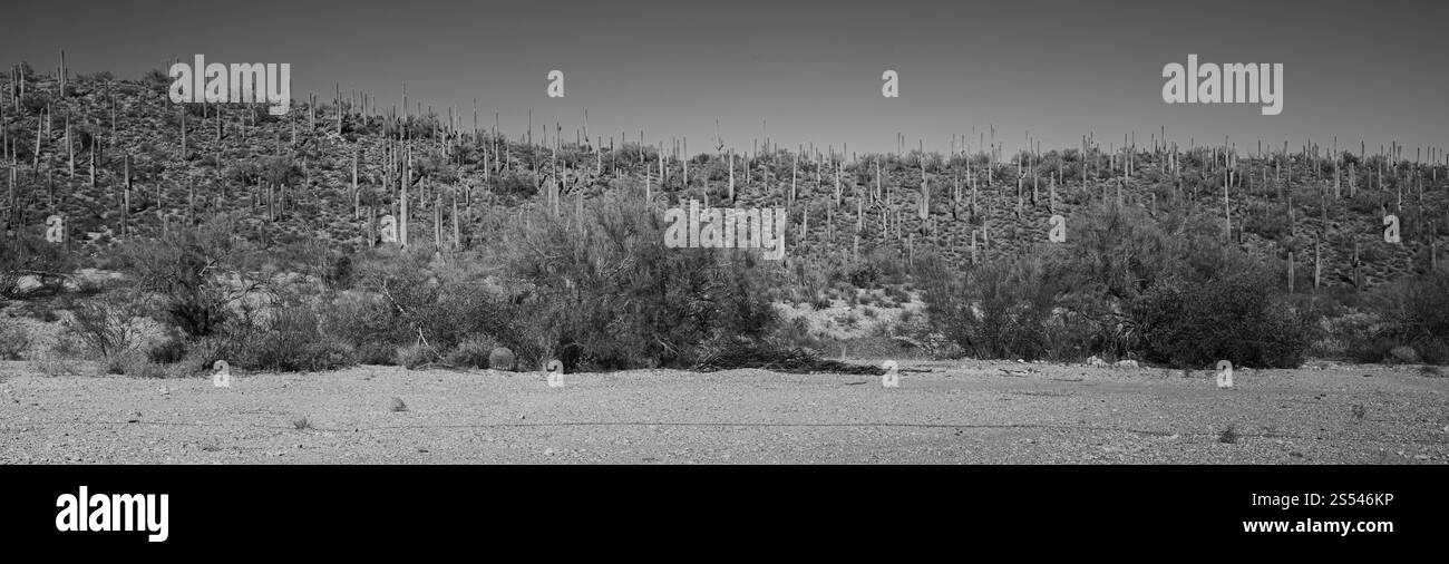 A stunning sepia-toned photograph of Tucson, Arizona, captures a ...