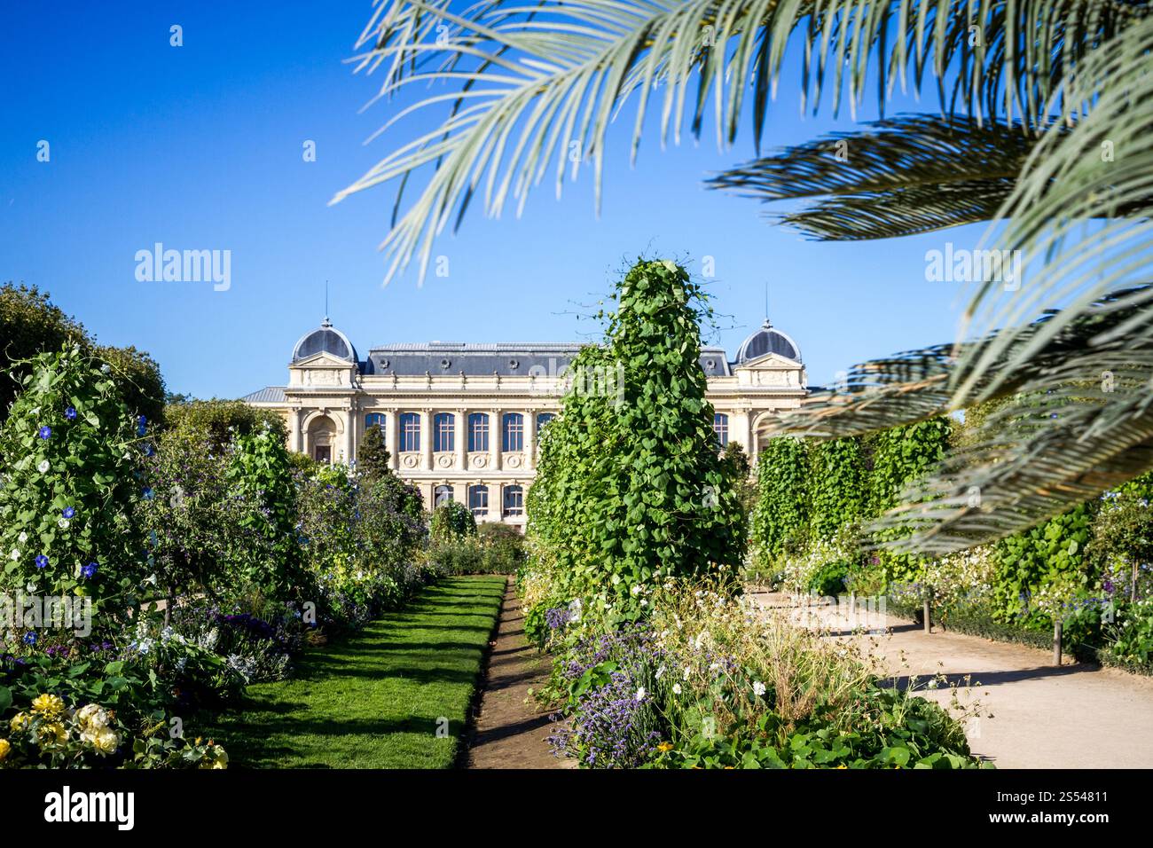 Jardin des plantes botanical garden and museum, Paris, France. Jardin ...
