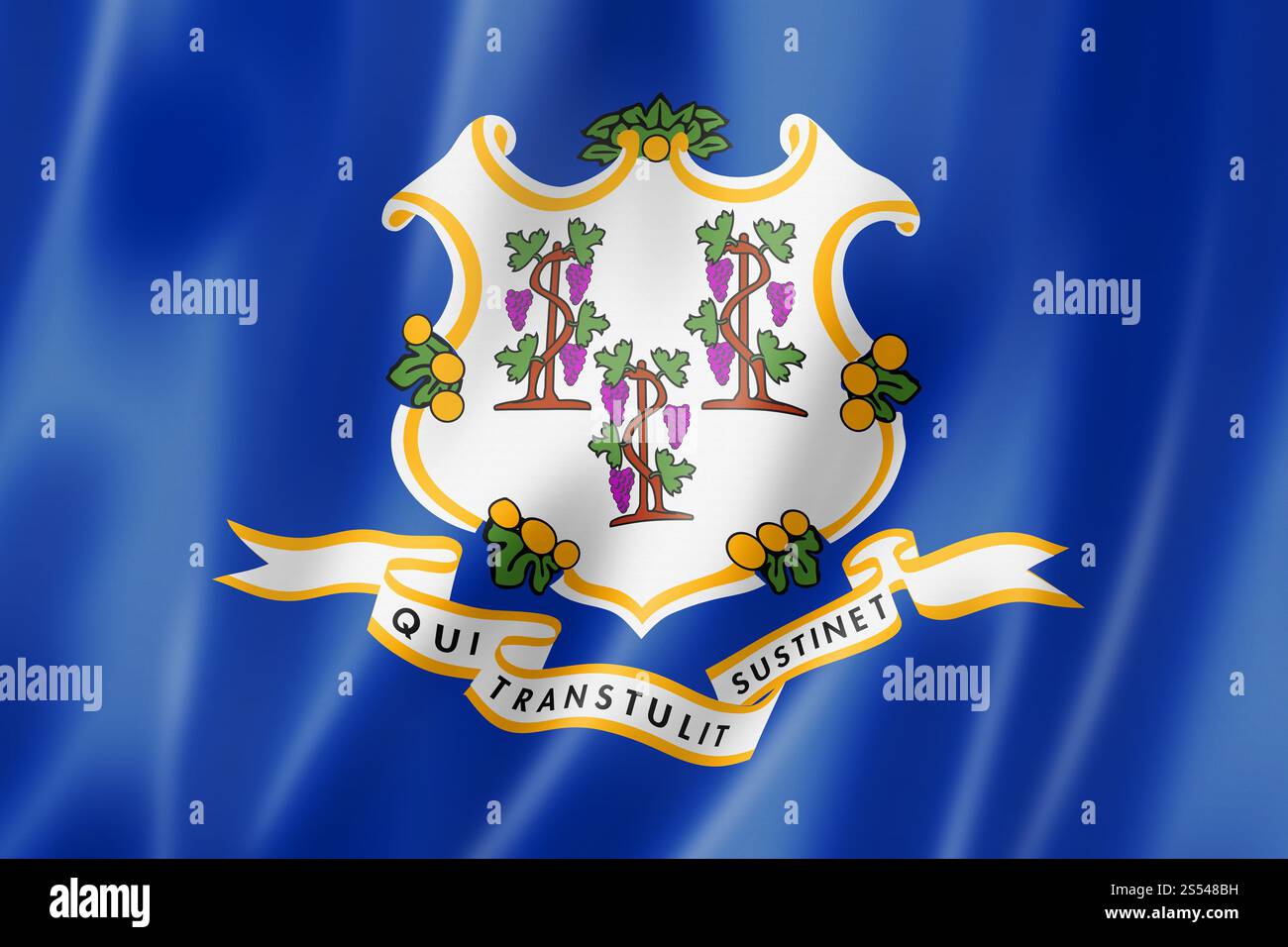 Connecticut flag, united states waving banner collection. 3D ...