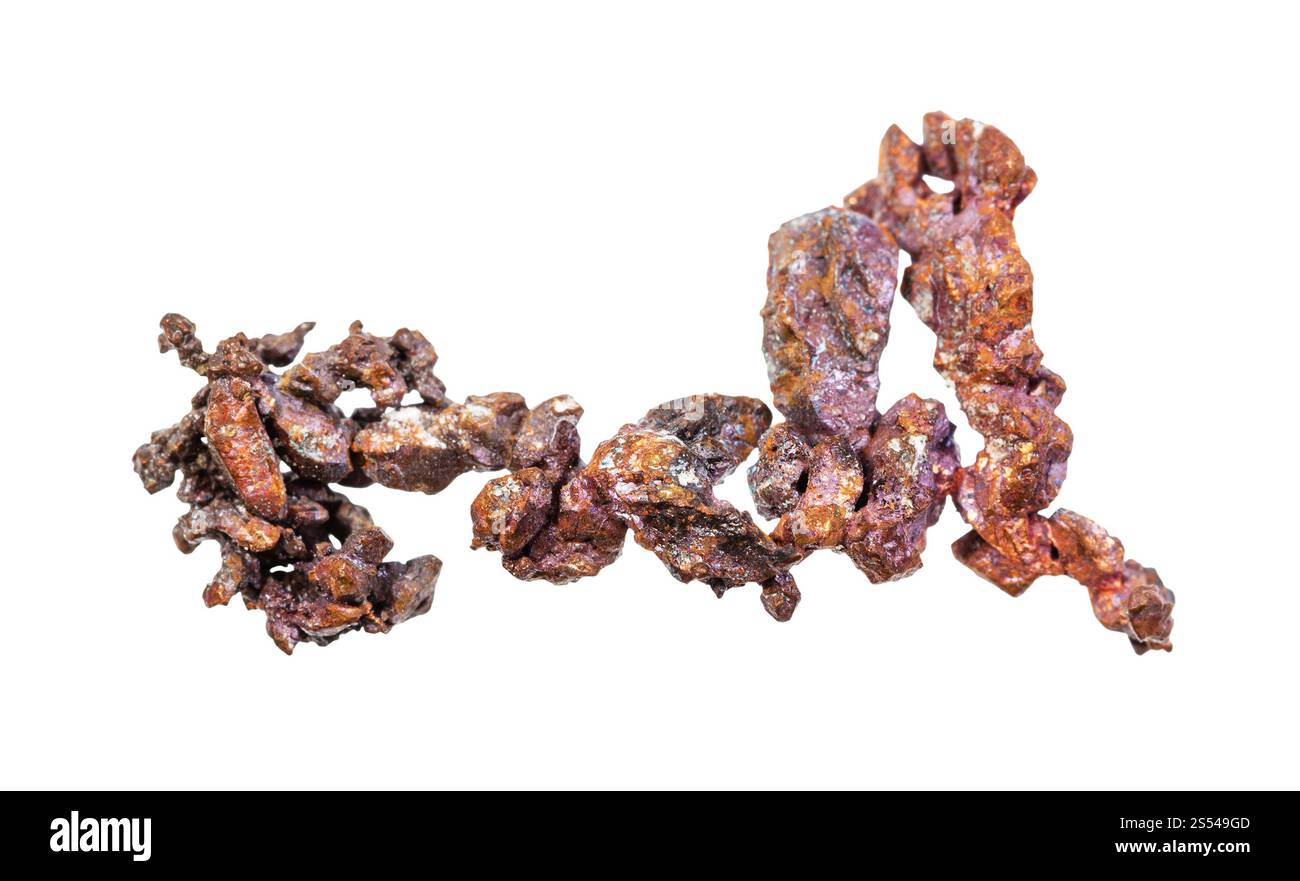 closeup of sample of natural mineral from geological collection - twig ...