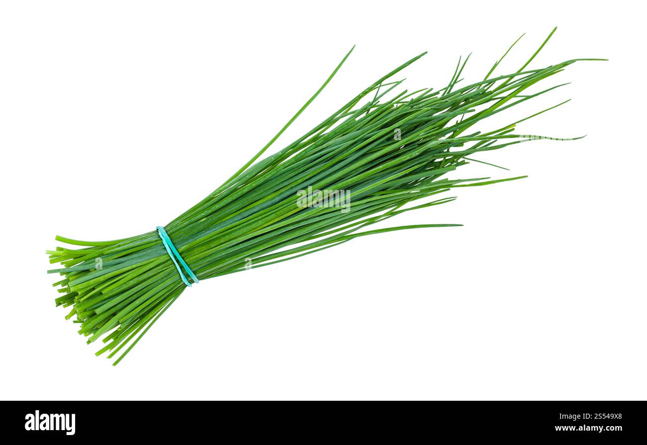 bunch of fresh Chives herbs isolated on white background. bunch of ...