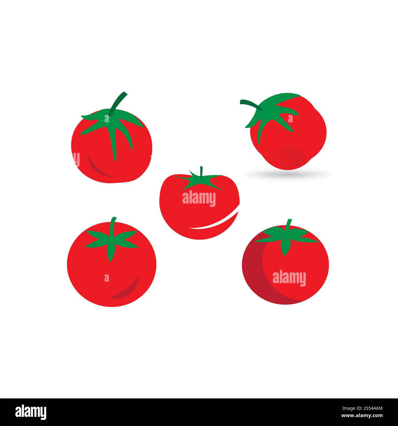 tomato vector ilustration template Stock Photo - Alamy