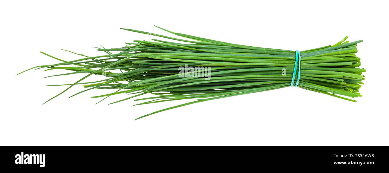 bunch of fresh leaves of Chives isolated on white background. bunch of ...