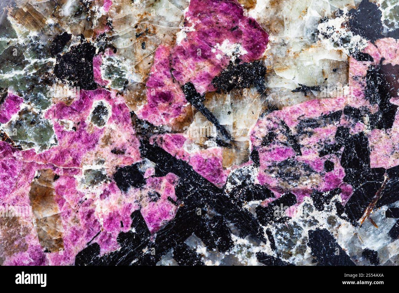 background from polished natural syenite (lujaurite) rock with purple eudialyte mineral and ...