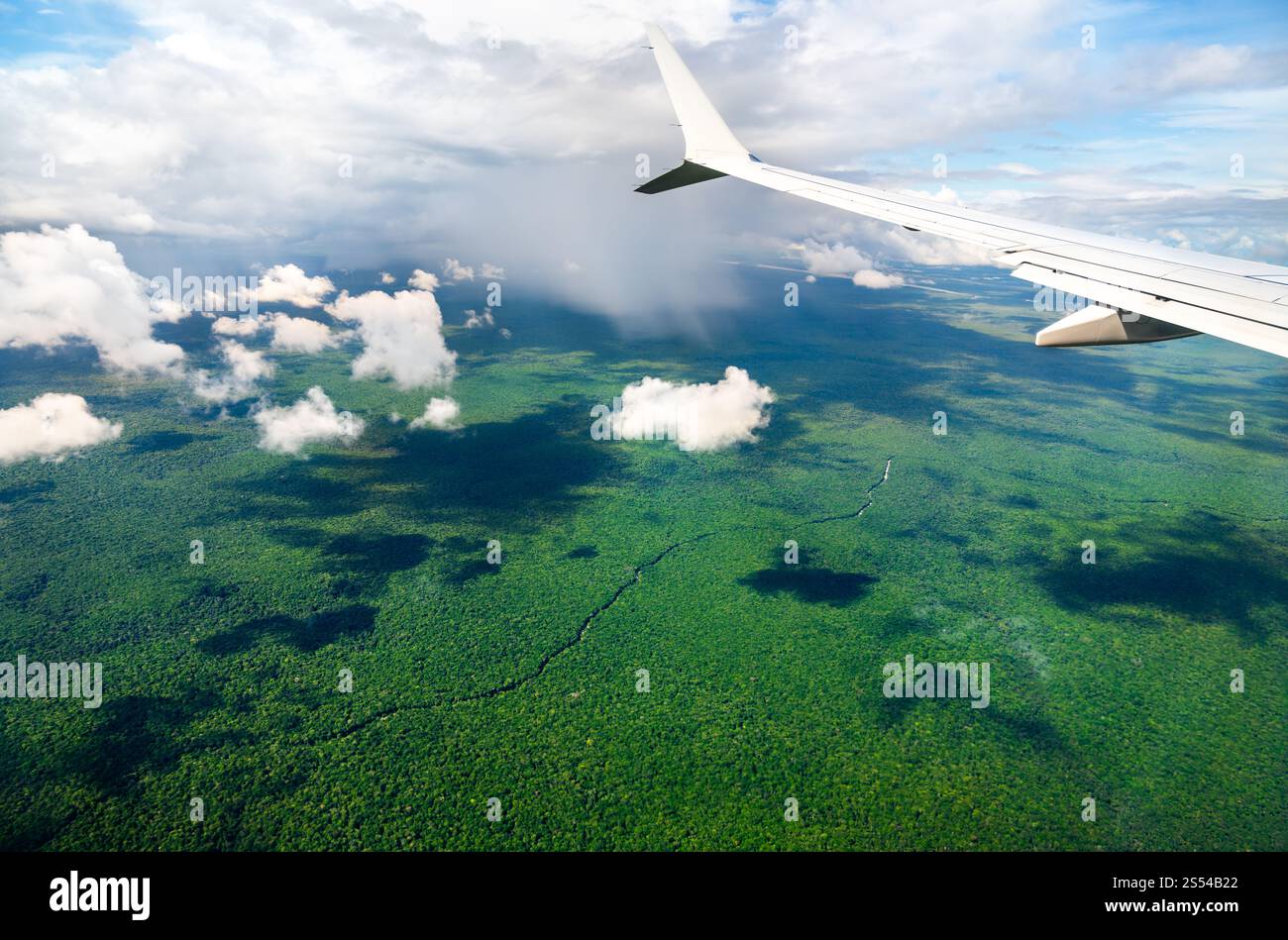 Airplane flying above the Amazon Rainforest of Guyana in South America ...
