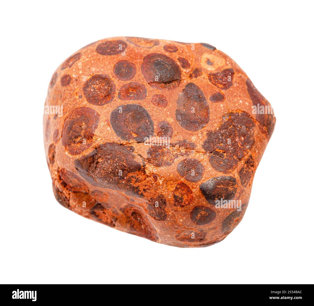 closeup of sample of natural mineral from geological collection ...