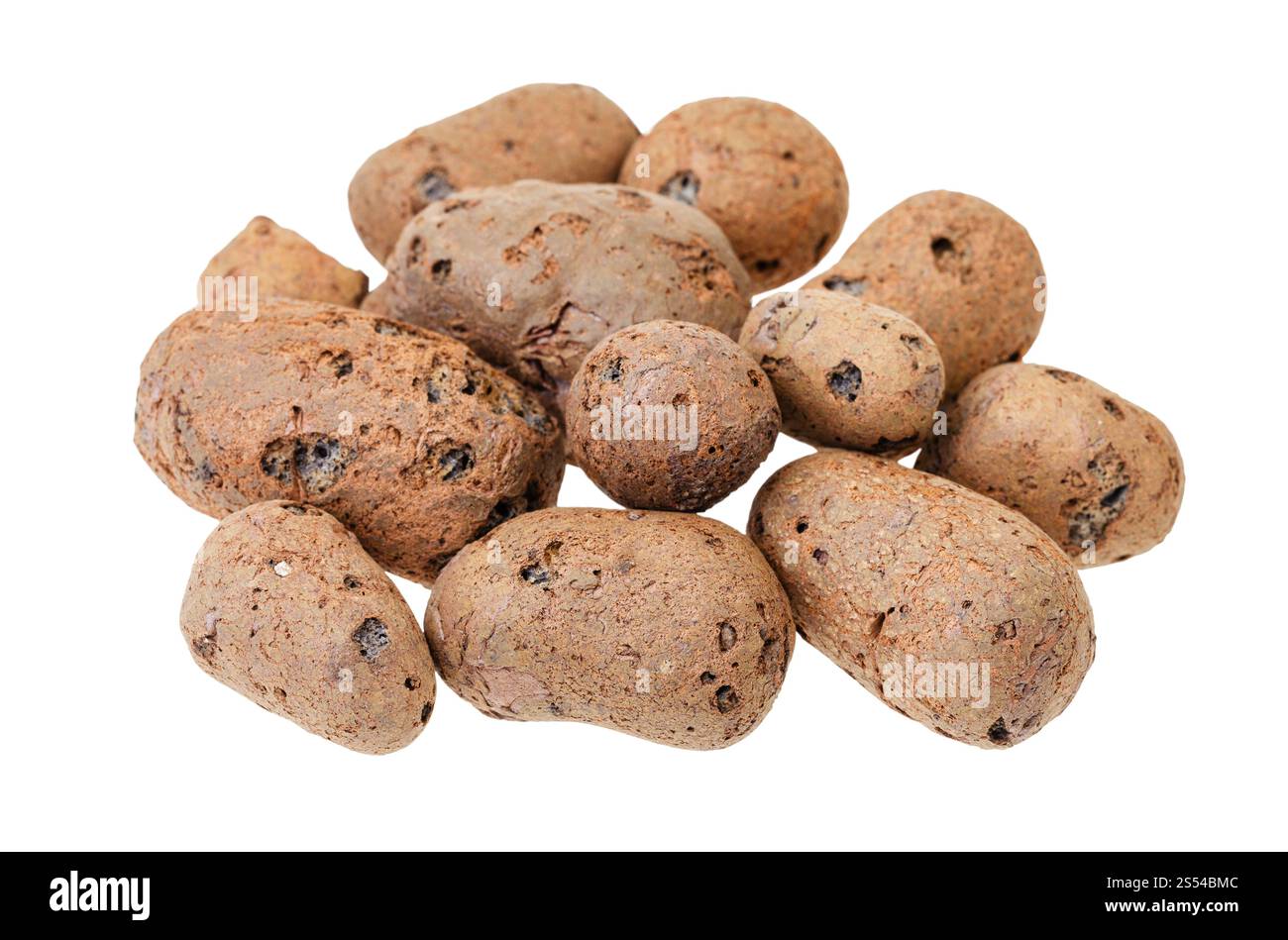 pebble from Lightweight expanded clay aggregate isolated on white ...