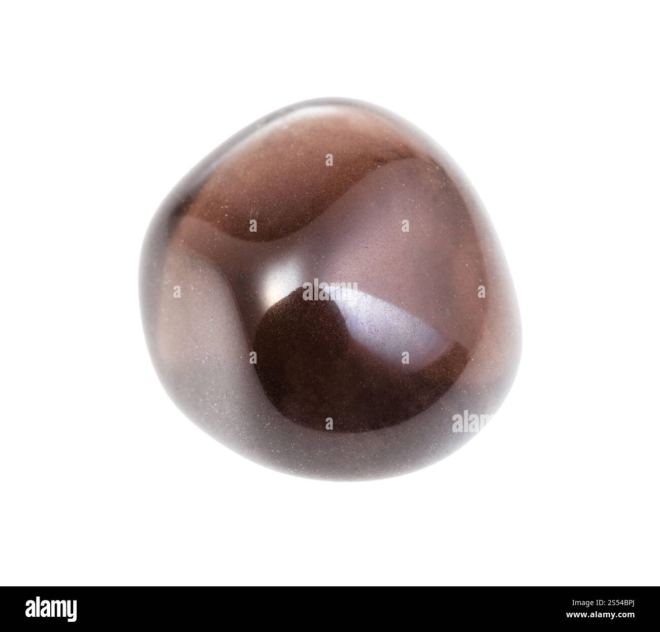 closeup of sample of natural mineral from geological collection - polished brown Obsidian ...