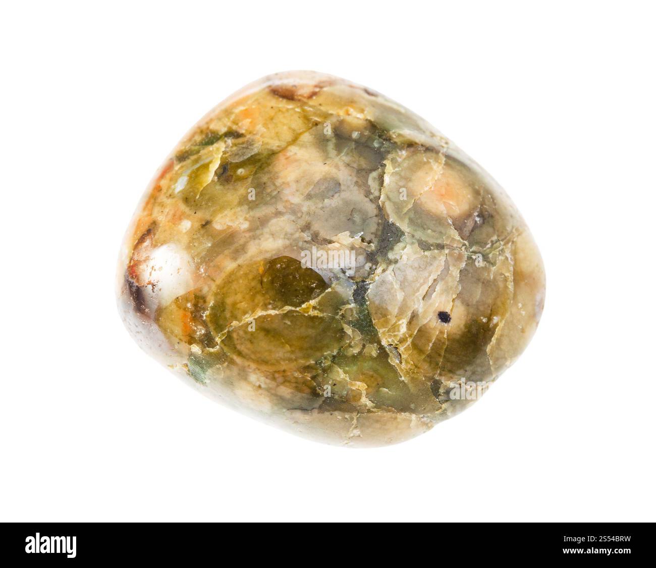 Orbicular jasper mineral stone hi-res stock photography and images - Alamy