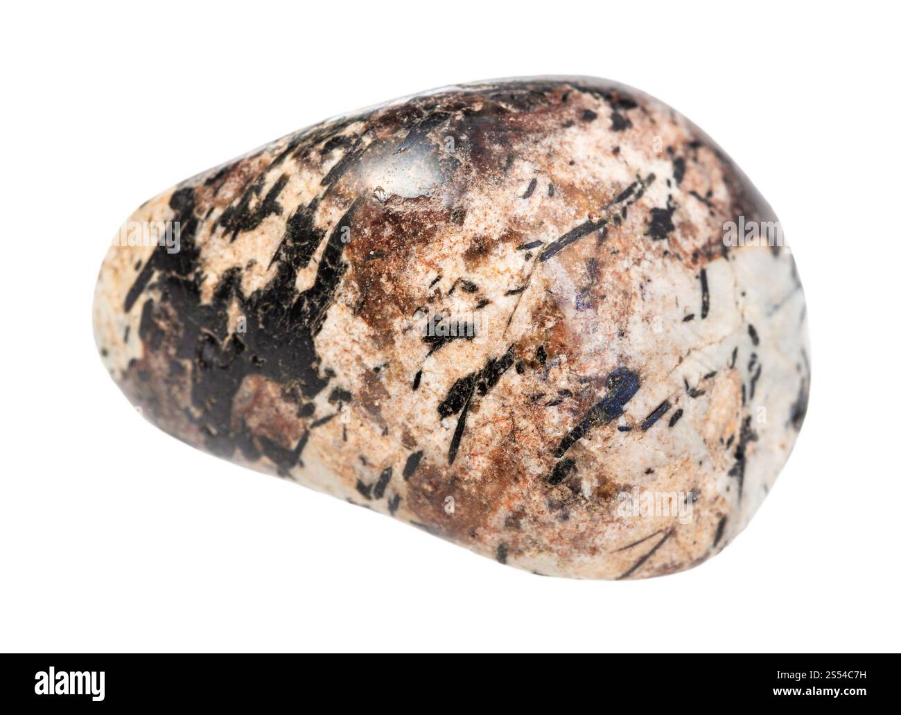 closeup of sample of natural mineral from geological collection - Sanidine and Aegirine in ...