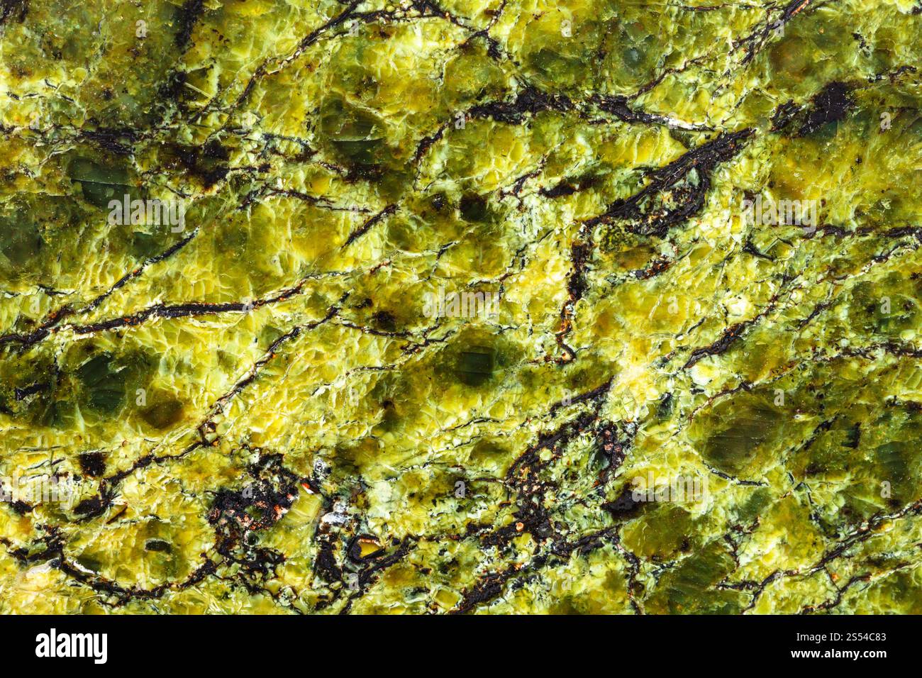 background from polished natural Serpentinite (Lizardite) rock close up ...
