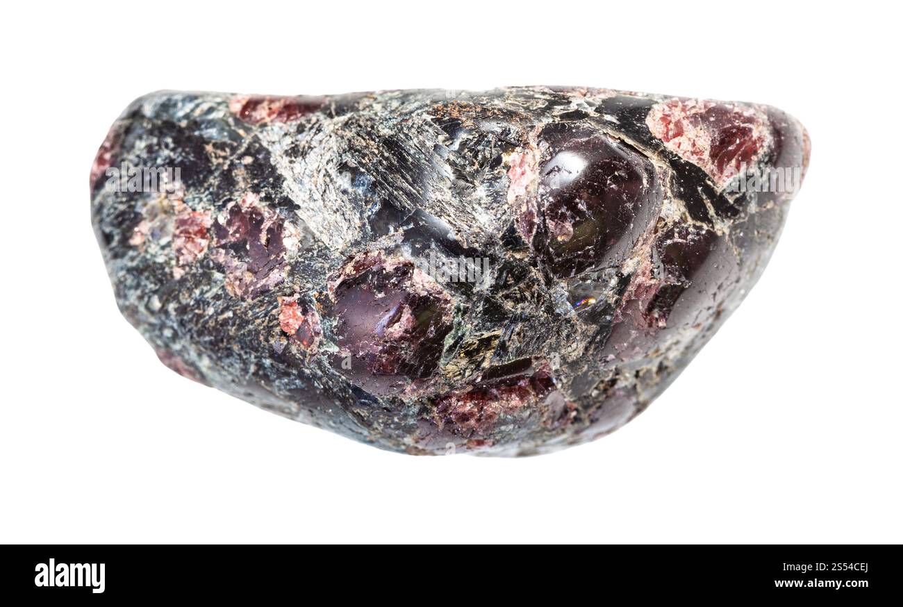 closeup of sample of natural mineral from geological collection - polished garnet crystals in ...