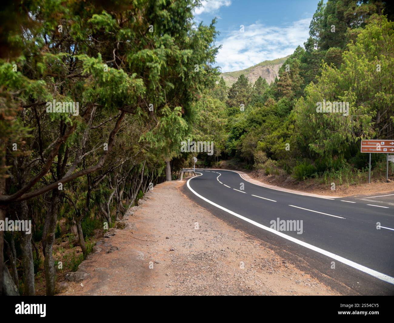 Beautiful photo of curved road going to high mountain through laurel ...
