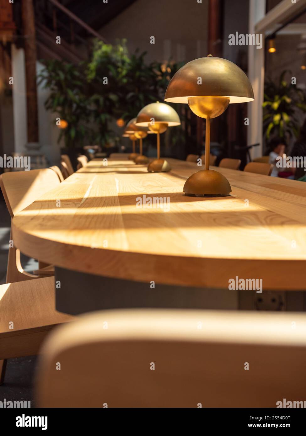 Closeup photo of metal lamps on long wooden desk at modern library ...