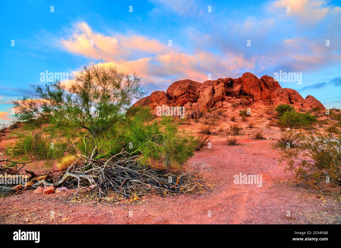 Hole-in-the-Rock Butte at Papago Park in the Sonoran Desert in Phoenix ...
