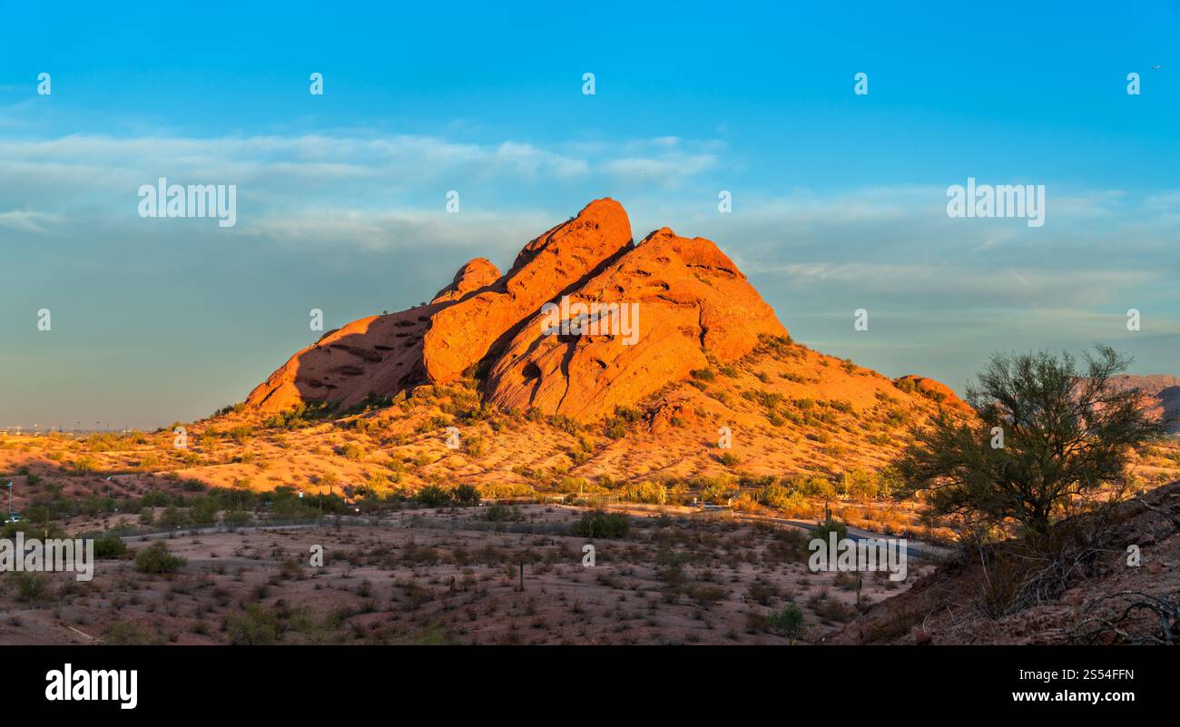 Red sandstone butte of Papago Park with many caverns caused by erosion ...