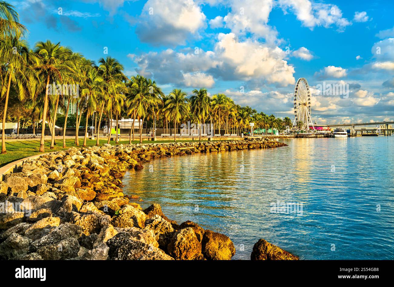 Waterfront of Bayfront Park with palm trees in Miami, Florida, United ...