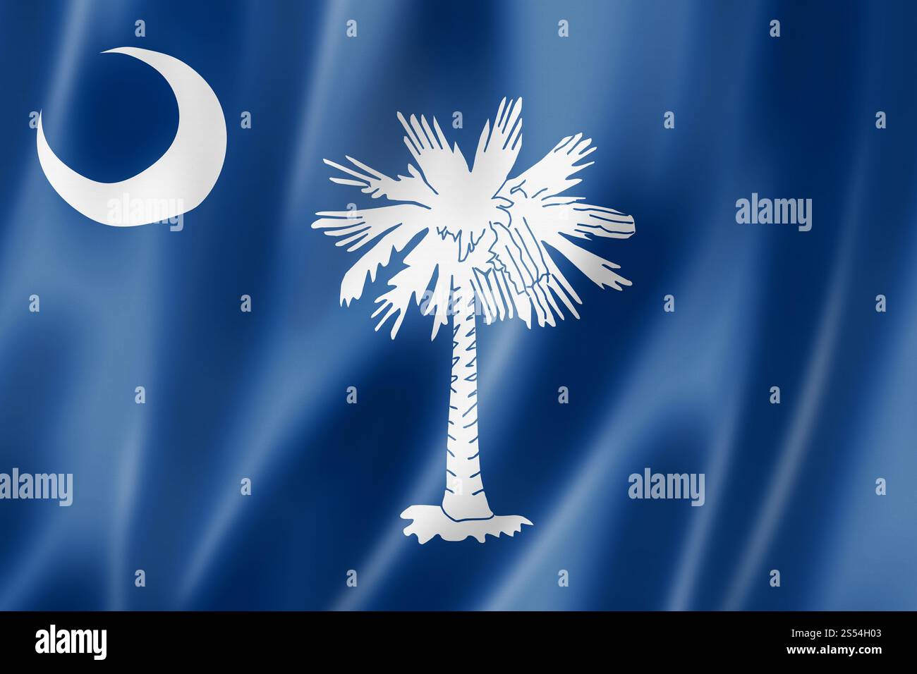 South Carolina flag, united states waving banner collection. 3D ...