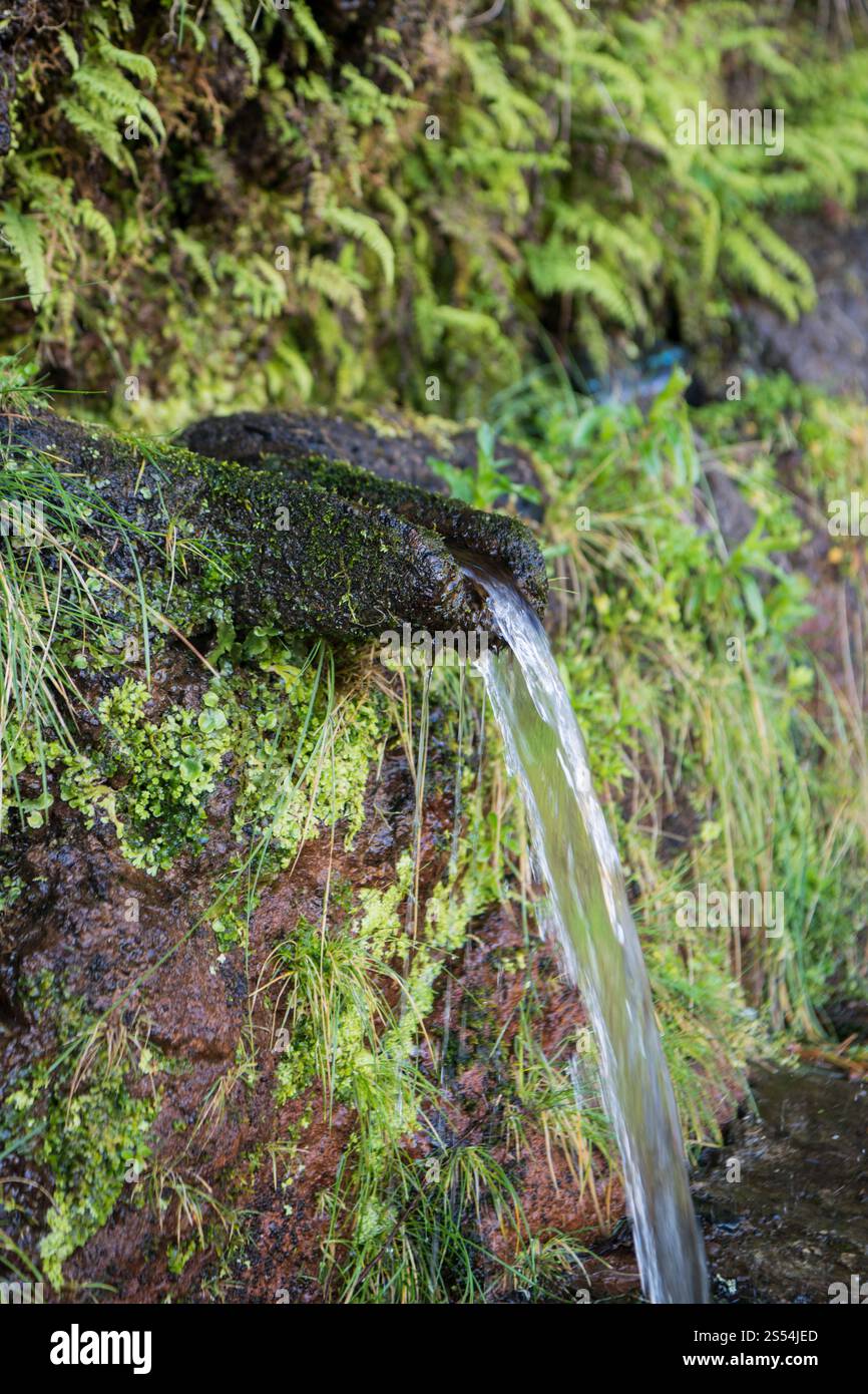 a water canal of Levadas at the village of Ribeiro Frio in the centre ...