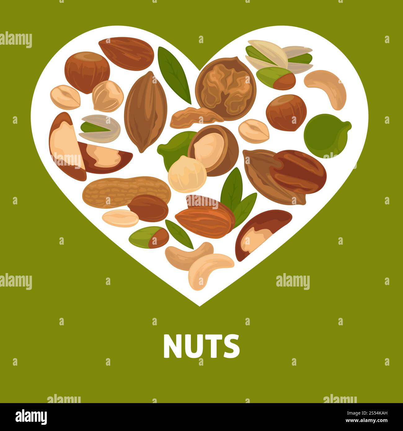 Delicious nutritious nuts advertisement banner with italic sign inside ...