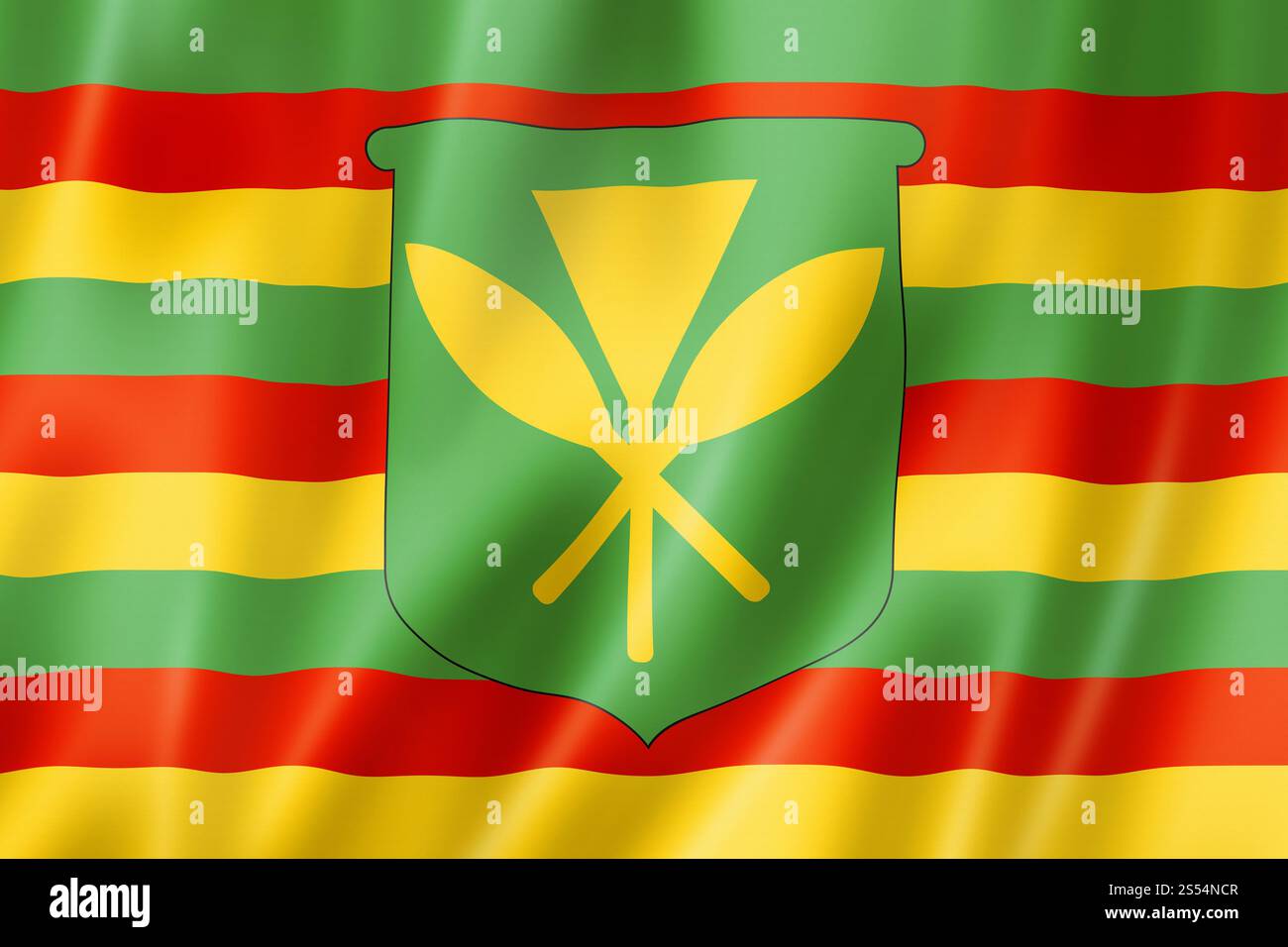 Kanaka maoli ethnic flag hi-res stock photography and images - Alamy
